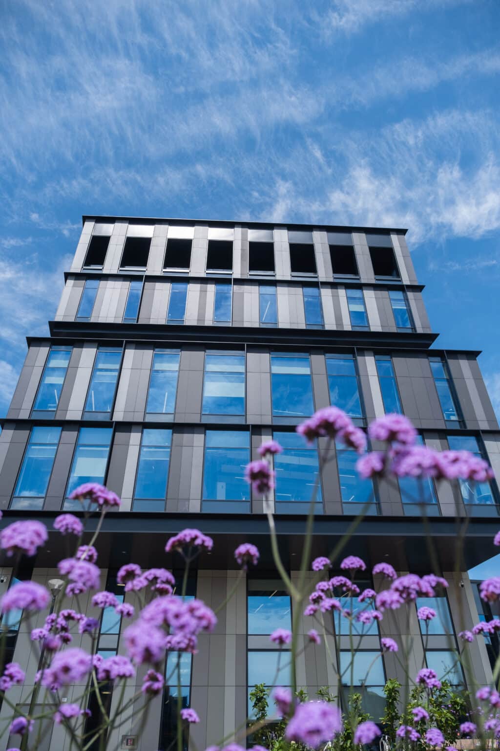 sbarc & TRH at Cardiff's Innovation Campus - Bouygues UK